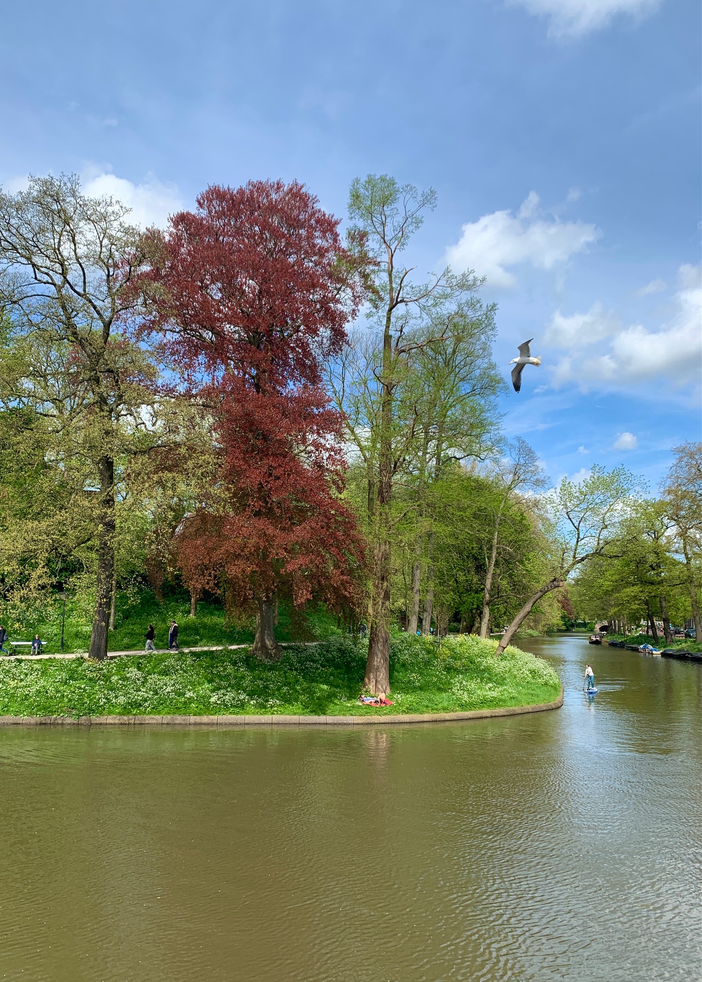 Zondagmiddag in Utrecht | gedichten leo mesman