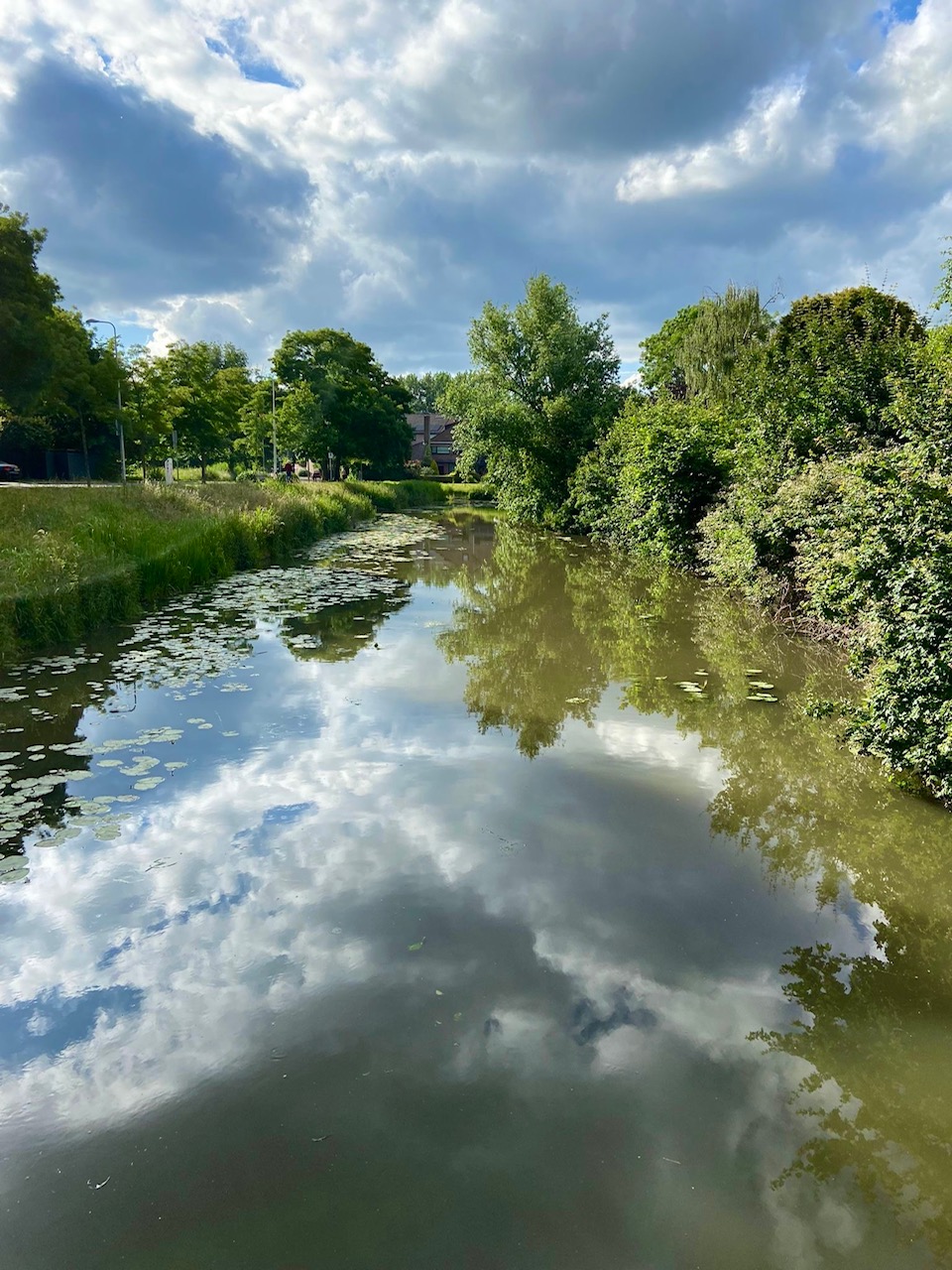 Wolken, water, bomen | Leo Mesman gedichten & foto’s