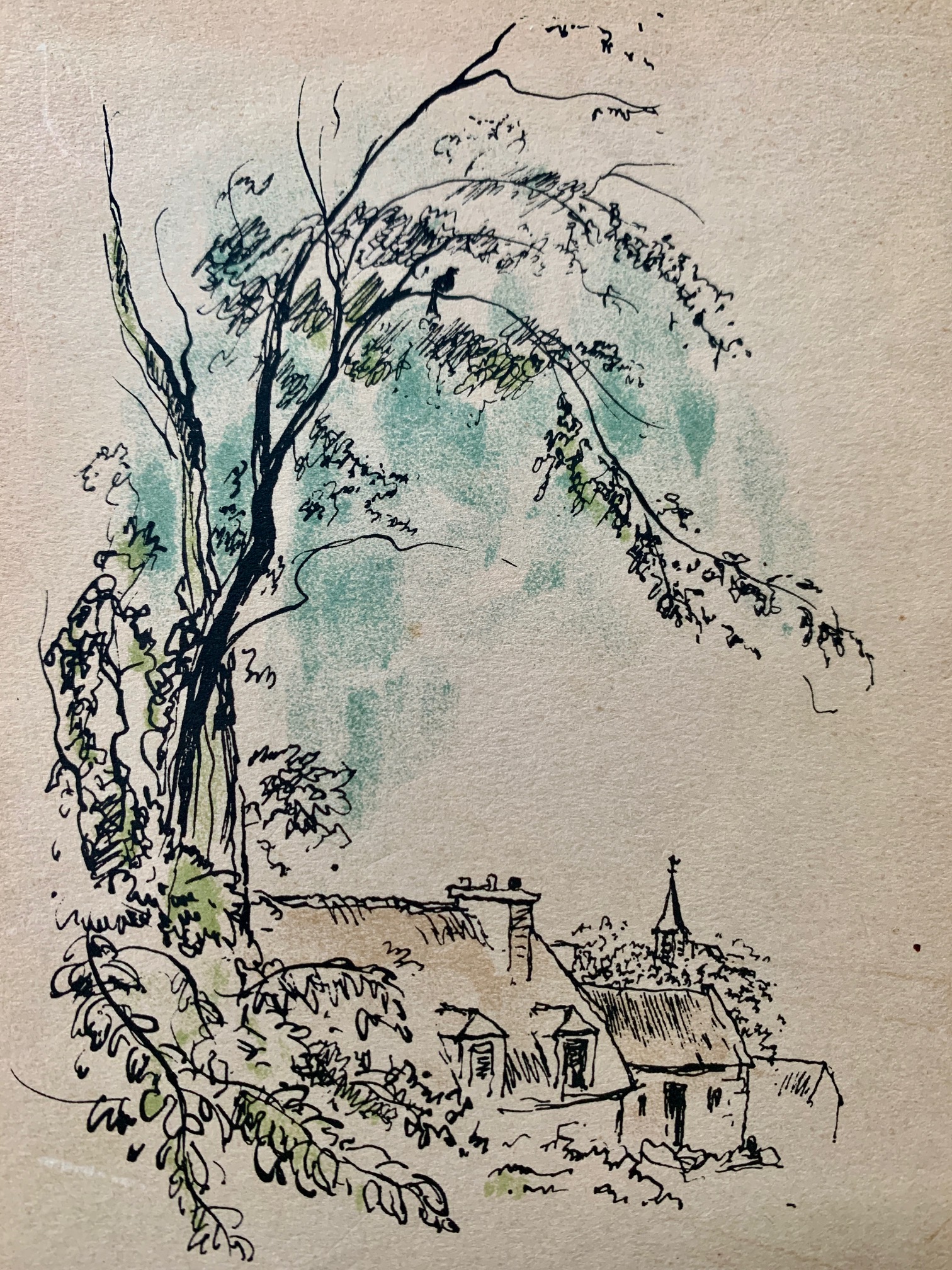 Tegen de verstening | Leo Mesman gedichten & foto’s